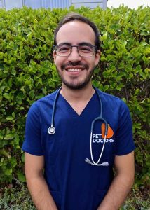 Dr Alexis - Pet Doctors West Harbour